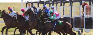 Adaminaby Races – Saturday 22nd November 2025