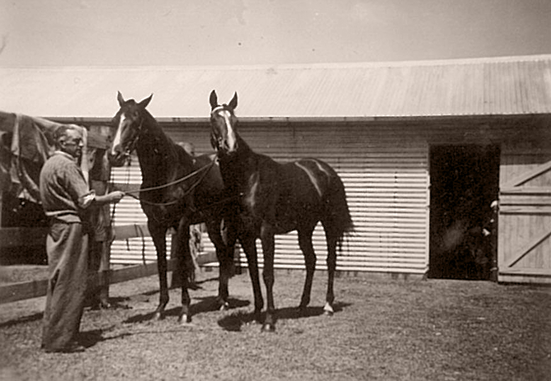 History – Adaminaby Races