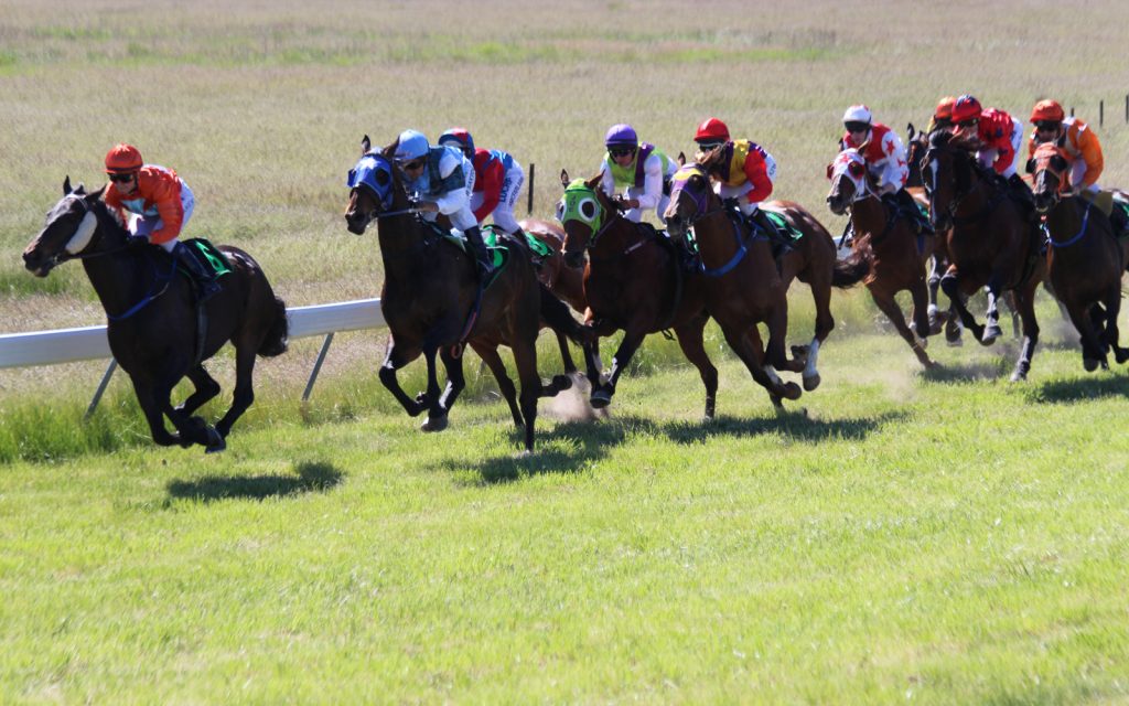 Adaminaby Races – Saturday 4th November, 2022