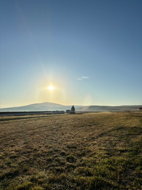 Adaminaby Races – Saturday 22nd November 2025